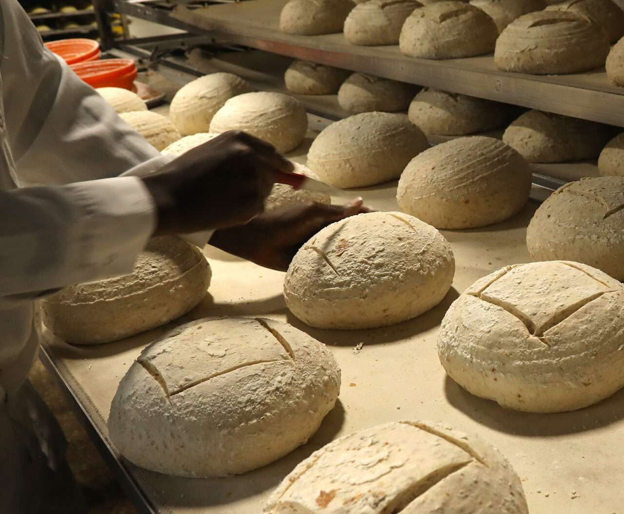 A Bread Story - About LeBus - LeBus Bakery - Artisan Breads & Pastries