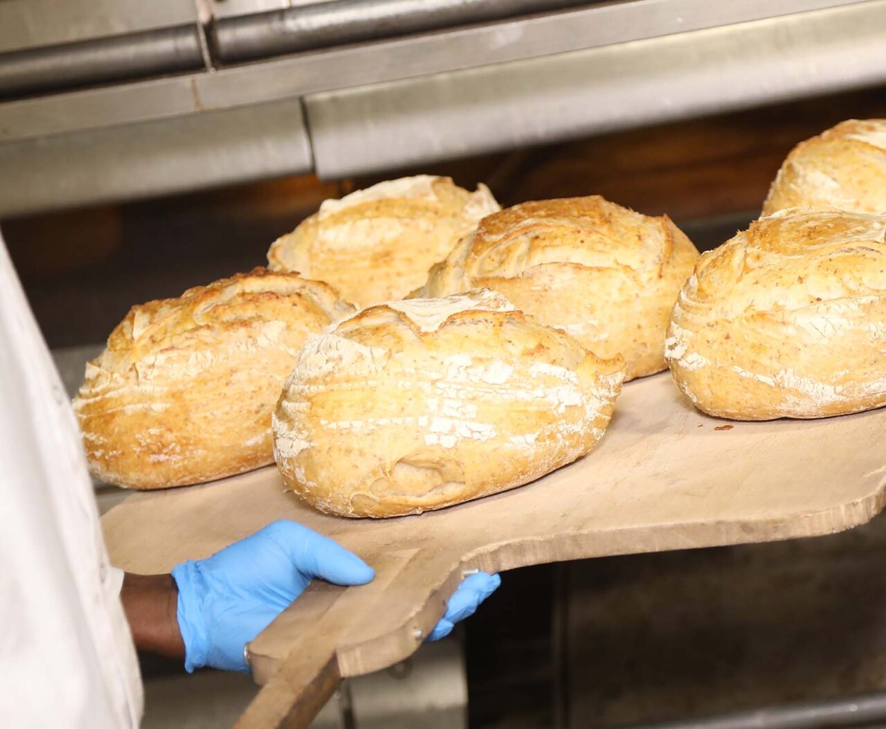 A Bread Story - About LeBus - LeBus Bakery - Artisan Breads & Pastries