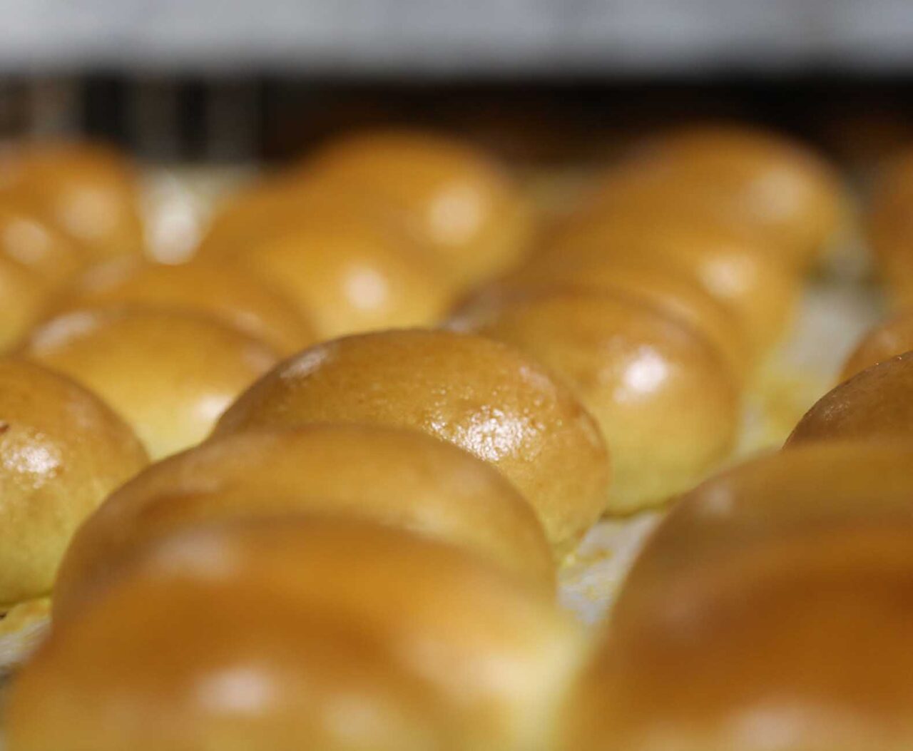 A Bread Story - About LeBus - LeBus Bakery - Artisan Breads & Pastries